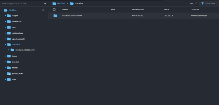 How to Use the DirectAdmin File Manager - Tresseo