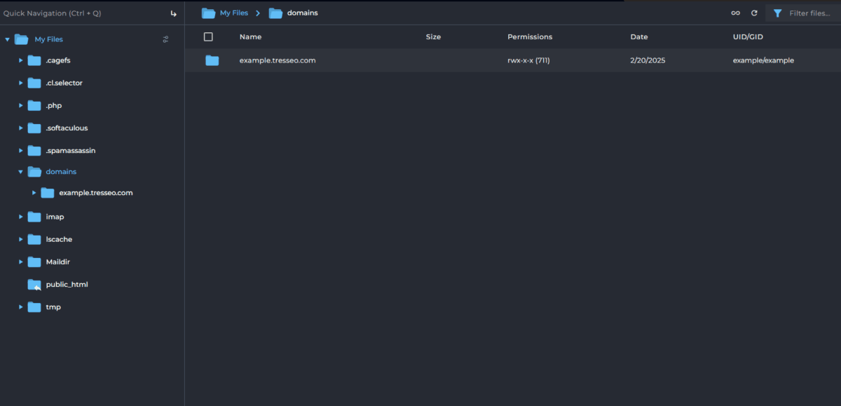How to Use the DirectAdmin File Manager - Tresseo